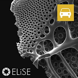 Bionic design: The future of lightweight structures: CompositesWorld